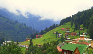 Rize - Ayder Yaylası